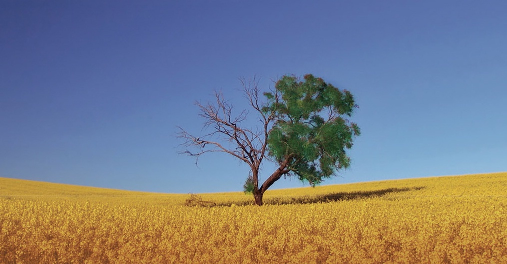 The Fight for Your Identity | Truth Pressure Ministries